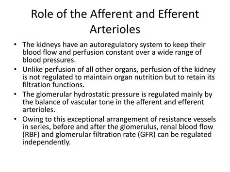Ppt The Physiology Of The Afferent And Efferent Arterioles Powerpoint