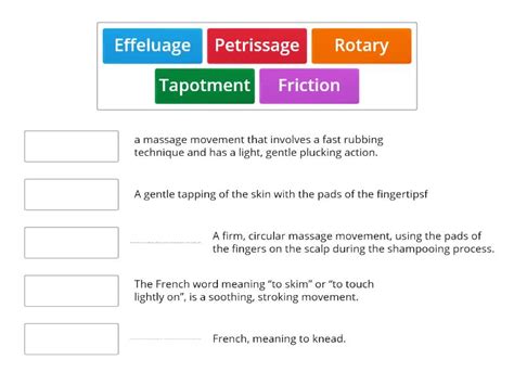 Shampoo Massage Movements Match Up