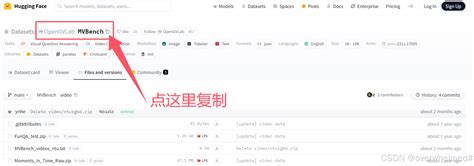 一分钟搞定：使用脚本从huggingface镜像站下载模型或数据集python中怎么下载hfmirror下的模型和数据集 Csdn博客