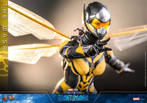 The Wasp Stings Hot Toys With Her Newest 1 6 Scale Ant Man Figure