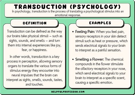 Transduction Psychology 10 Examples And Definition 2025 Transduction Psychology 10 Examples And Definition 2025