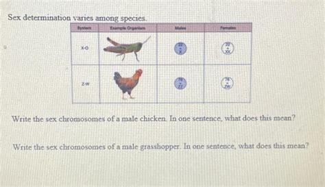 Solved Sex Determination Varies Among Species Write The Sex Chegg Com