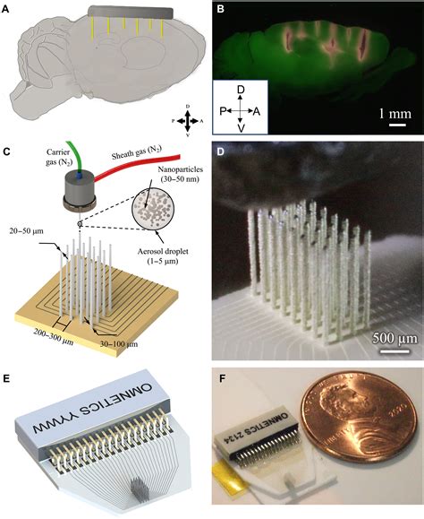 Cmu Array A 3d Nanoprinted Fully Customizable High Density Microelectrode Array Platform