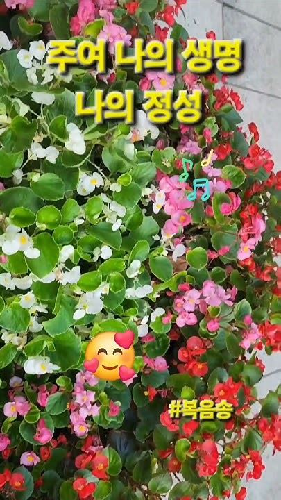 찬송가 주여 나의 생명 나의 정성😀🎶 Youtube