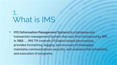 Information Management System Ims Mis Ppt