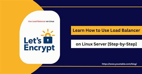 Configure Dns On Linux For Reliable Domain Resolution