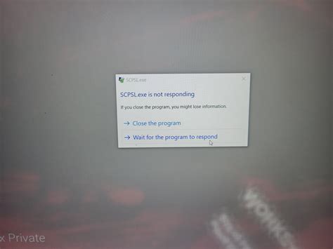 Why Does My Game Keep Crashing SCPSL