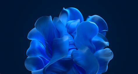 Windows 11 Default Wallpapers Top Free Windows 11 Default Backgrounds Wallpaperaccess