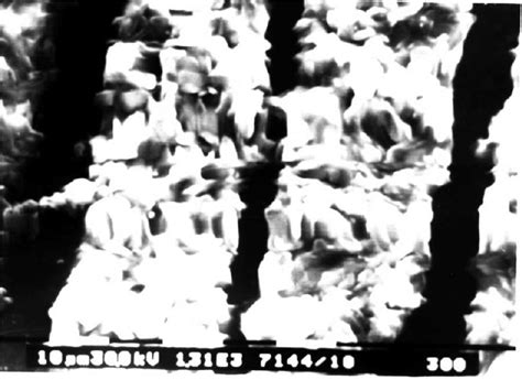 Sem Microstructure Of A Sample Annealed At 500 • C For 30 Minutes 500x