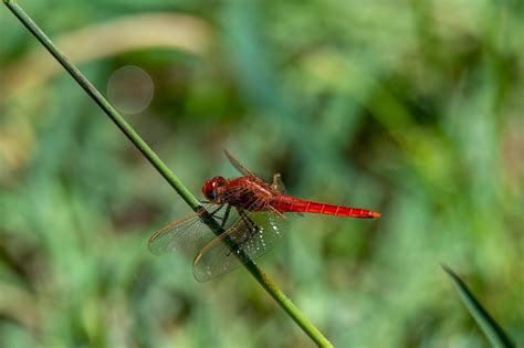 Nature Is Fucking Lit