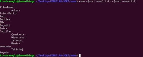 Rneklerle Linuxta Sort Komutu Nas L Kullan L R Linux Data Linux Sysadmin
