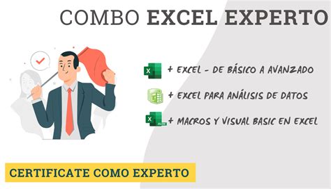 Combo Análisis De Datos Eca Capacitaciones