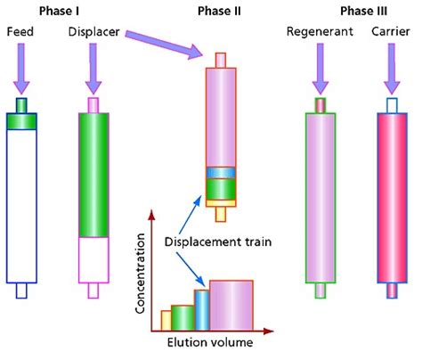 Process Chromatography Ipsum Lifesciences Llp Journey From