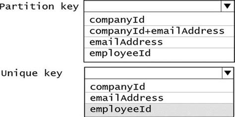 To What Should You Set The Partition Key And The Unique Key Exam4training