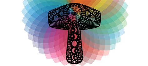 Anterior Cingulate Gyrus In Psychedelic Therapy Triptherapie News