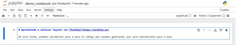 JupyterLab Desde Cero Con Python Profile Software Services