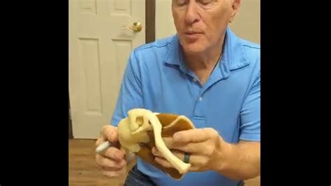 Shoulder Injection Diagnosis And Treatment Options Ocbm Roadmap