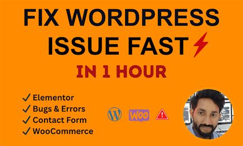 Fix Wordpress Issues Fix Wordpress Errors Fix Wordpress Bug By