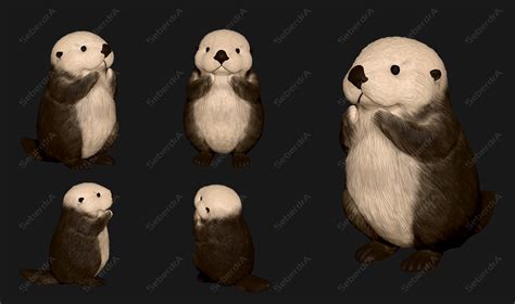 Stl File Cute Sea Otter Stl And Vrml 🦦・3d Printable Design To Download・cults