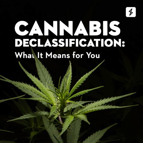 Cannabis Declassification What It Means For You Springbig