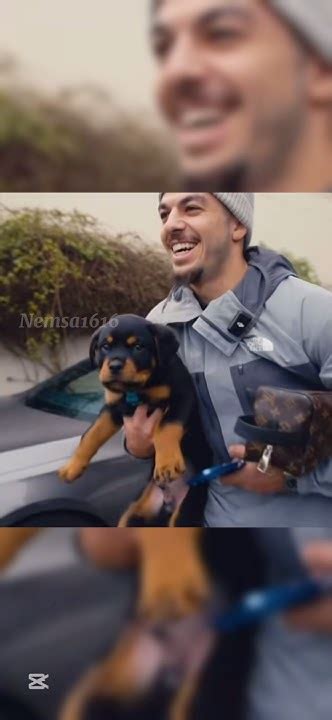 Mikautadze🇬🇪 ახლაი🥹🐶მეგობარი ჰყავს ️რასაყვარელია ️🥹უყვარს ძაღლები😂 ️ Nemsa1616 Youtube