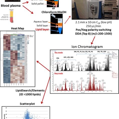 Lipidomics Platform Schematic Overview Of The Untargeted LC MS MS Download Scientific Diagram