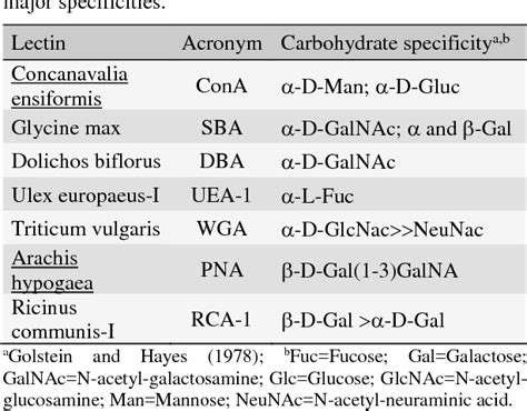 Table 1 From Lectin Binding Patterns And Immunohistochemical Antigen