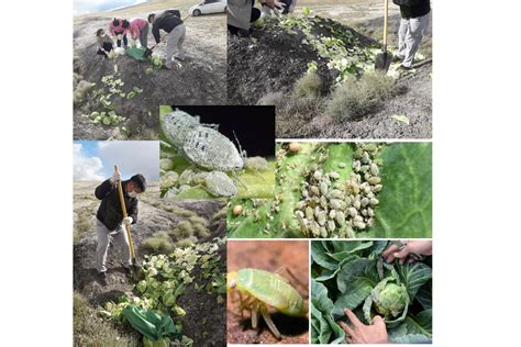 Гарал үүсэл нь тодорхой шинжилгээний бичигтэй бүтээгдэхүүн хэрэглэхийг зөвлөж байна Newswall