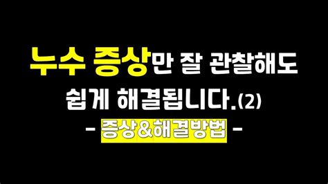 누수 증상만 잘 관찰해도 누수 원인을 찾을 수 있습니다 꼭 보세요 youtube