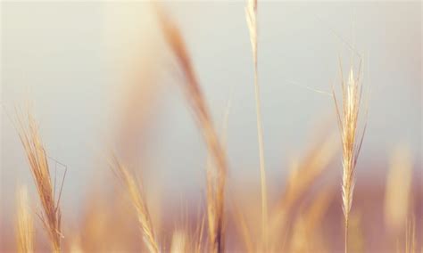 Events And Webinars Next Generation Sequencing Element Biosciences