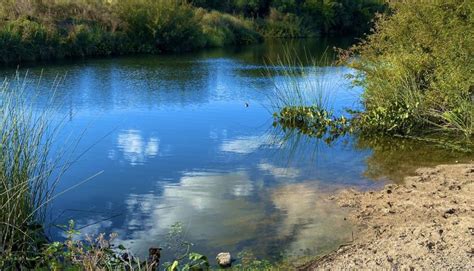 Muere Ahogado Un Hombre En Aguas Del Arroyo Del Chamizo Diario La R