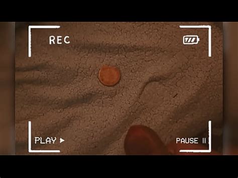 I Found This Video Of My Femboy Cousin And Now I Know What Happened To The Missing Cookies