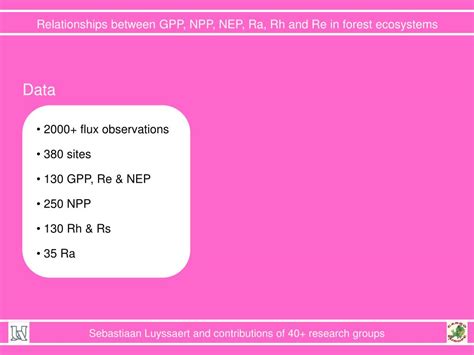 Ppt Relationships Between Gpp Npp Nep Ra Rh And Re In Forest