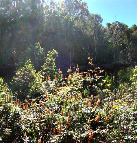 Aprender A Programar Con Python La FunciÓn Main