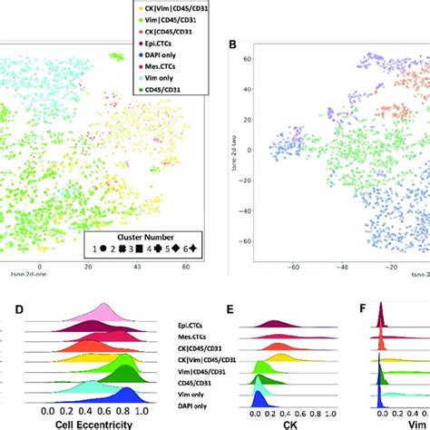 Fluorescence Signal Image Processed By Mosaic Data Augmentation Method