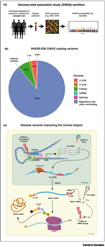 Polygenic Disorder