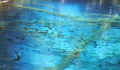 Berkunjung Ke Danau Kaco Objek Wisata Tersembunyi Di Hutan Hujan Tropis Jambi