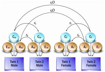 The M And F Subscripts Refer To Males And Females Respectively Ra And Download Scientific
