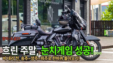 흐린 주말 눈치게임 성공 할리 스글21 Youtube