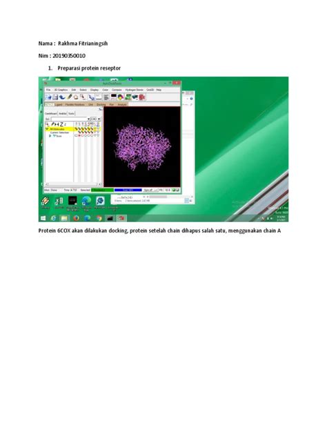 Laporan Sementara Autodock Pdf