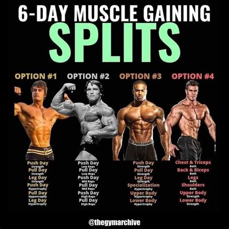 The Ultimate 6 Day Workout Split For Building Muscle And Strength Binaragawan