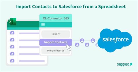 Xappex Llc On Linkedin Salesforce Datamanagement Xappex