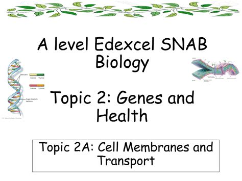 Edexcel SNAB Biology Topic 2 Genes And Health Topic 2A Cell