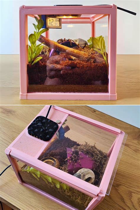 Best 13 Tarantula Cribs Acrylic Enclosure With Custom Decor Artist