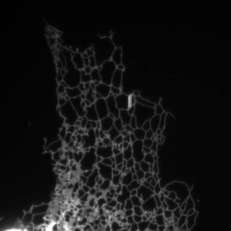 Ml Sim Machine Learning Method For Reconstruction Of Structured