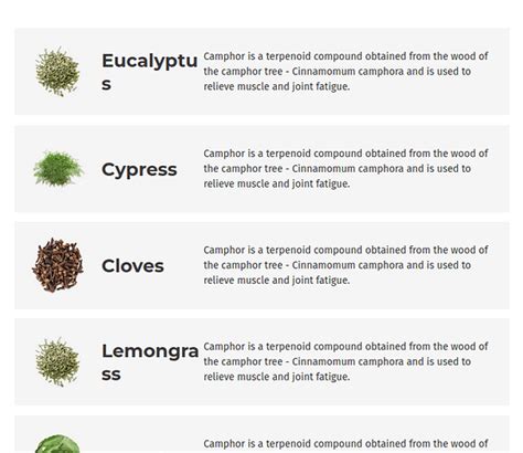 No Bug Issue With Bricks Template Display On Post Reload Bugs Bricks Community Forum