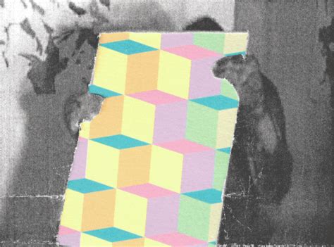 CREATE YOUR OWN GIFS By Beeld Geluid GIPHY