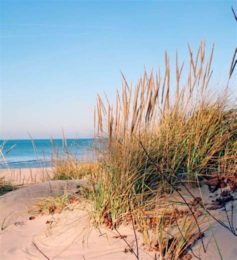 18 Best Lake Michigan Beach Towns A Locals Guide 2026 18 Best Lake