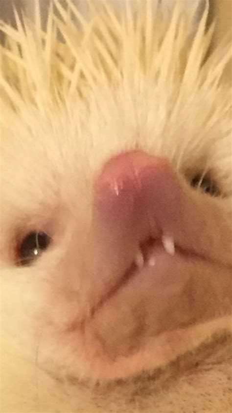 An Assort Bad Dump Part 3 Album On Imgur