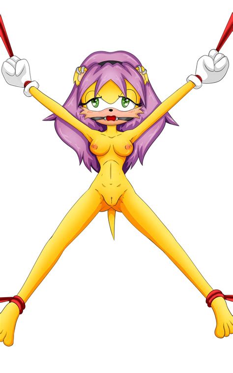 Post 2018547 Minamongoose Sonicthehedgehogseries Thamaire